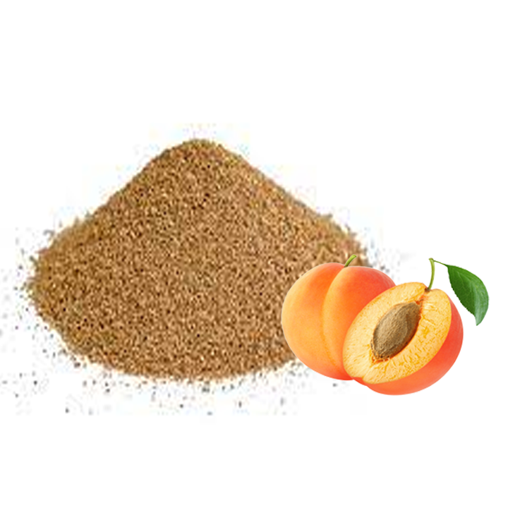 Noosa Apricot Shells Exfoliant 250g – Bondi Medical Supplies Inc